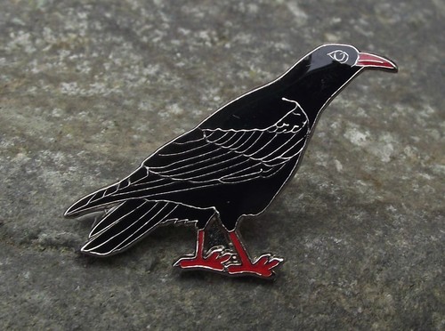 American Red Billed Chough Scottish Alpine Crow Family Bird Brooch Pin ...