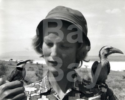 Joan Root 10x8 Photo | eBay