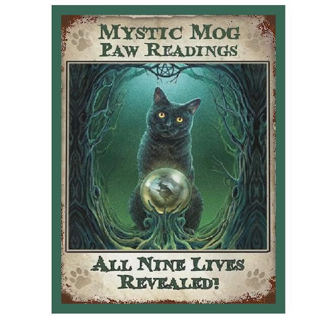 MYSTIC MOG CAT BATHROOM RETRO LOOK Metal Sign Kitchen Cave A5 A4 | eBay