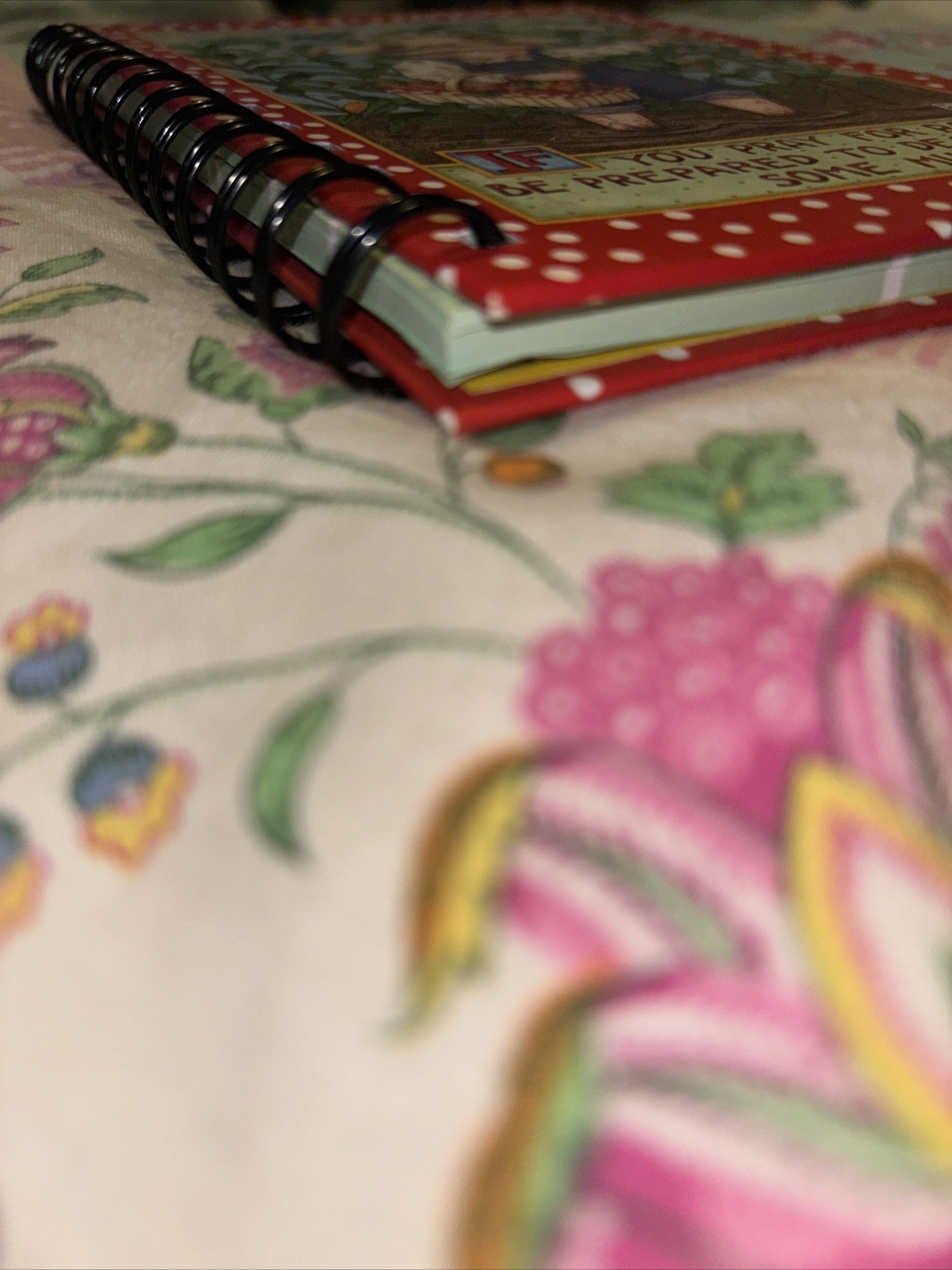 Mary Engelbreit Spiral Bound Journal Notebook And Magnetic Notepad | eBay