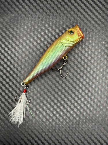 Custom Painted Topwater Pop-R Style Bait. Bluegill color shift | eBay