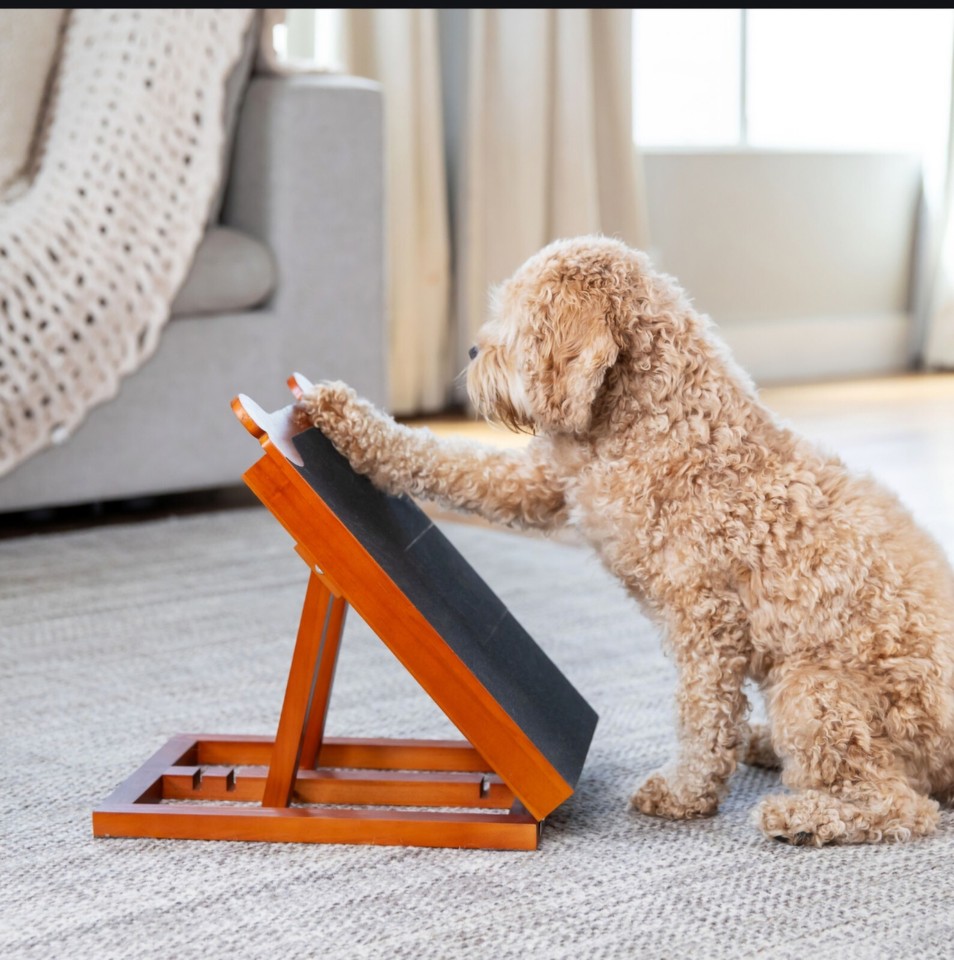 Dog Nail Scratch Board Nail Filing Pad Dog Nail File Pine Wood W/ GIFT ...