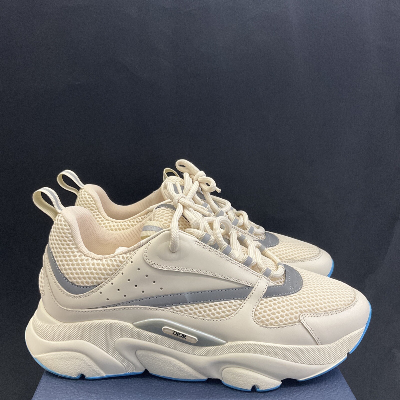 Christian Dior B22 Chunky Sneakers (Size-11US/44EU) P… - Gem