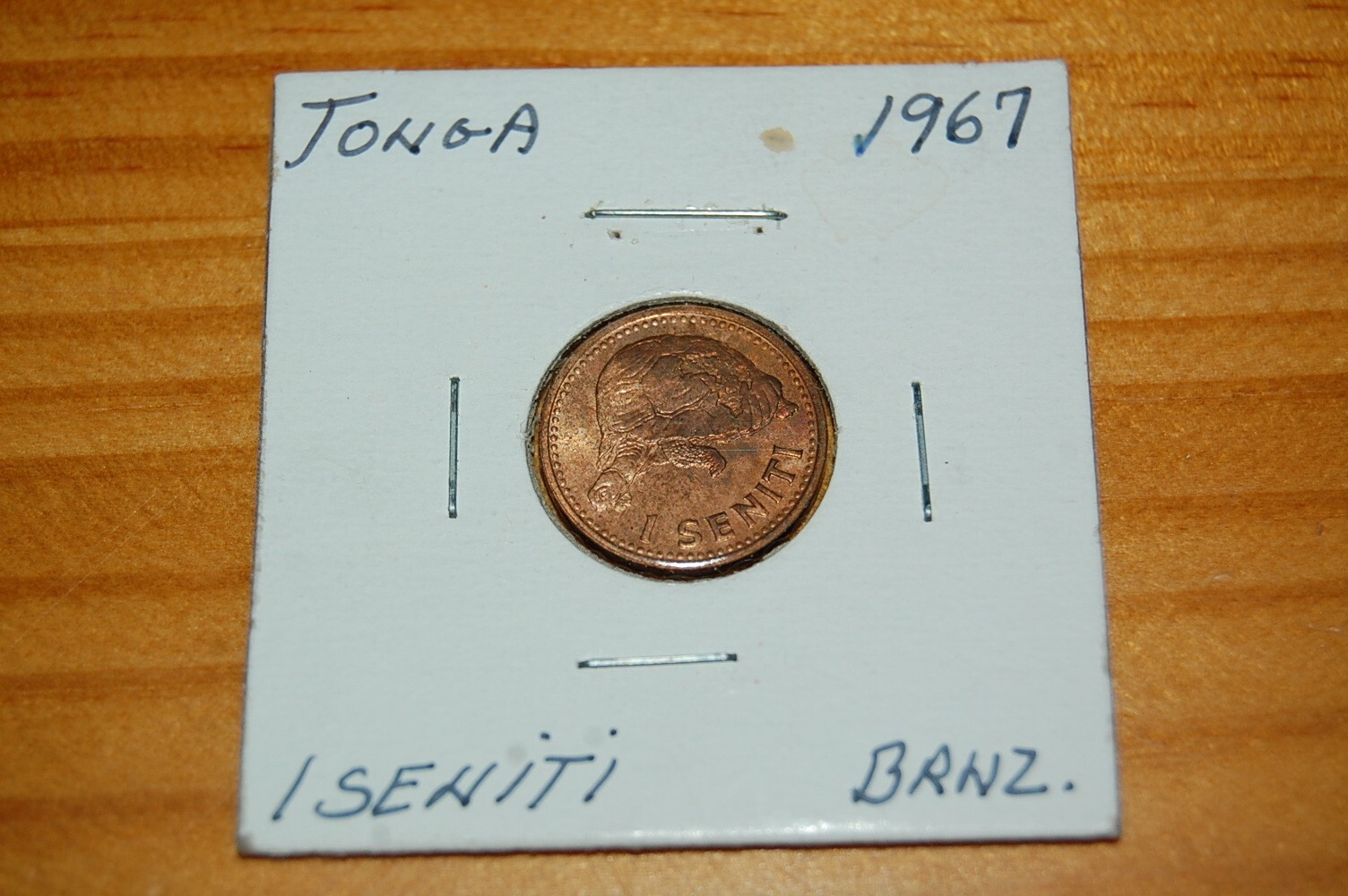 1967 Tonga 1 Seniti Uncirculated Coin in 2x2 Holder with Tortoise on ...