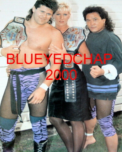 PAUL DIAMOND-MADUSA & PAT TANAKA WRESTLER 8 X 10 WRESTLING PHOTO WWF | eBay