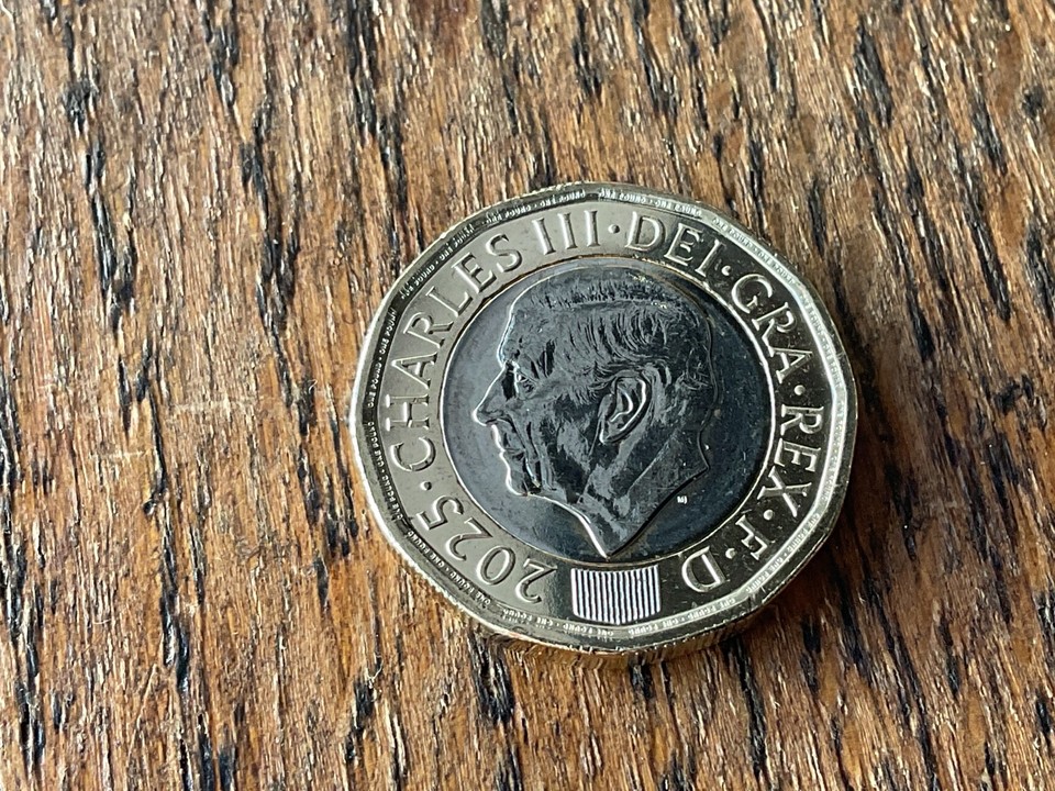 RARE LOW 170,000 MINTAGE 2025 KING CHARLES BEES £1 ONE POUND COIN from ...