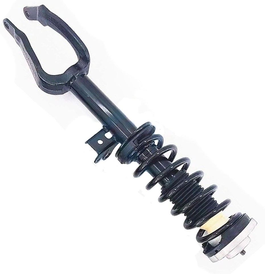 Pair Front Shock Struts Assembly Fit for BMW F07 535i 550i GT xDrive ...