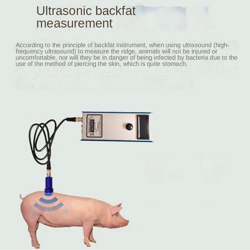 Backfat Thickness Measuring Instrument for Breeding Pigs Veterinary A ...