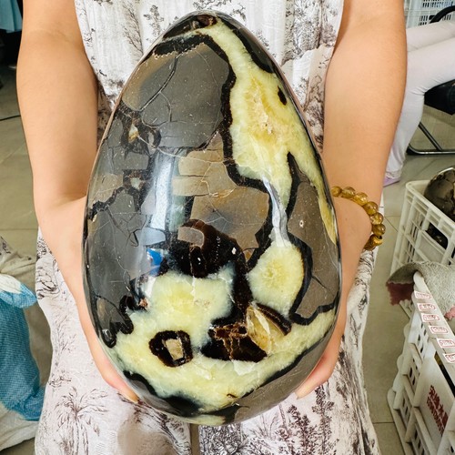 14.85LB TOP Natural Dragon Septarian Crystal Quartz egg mineral ...