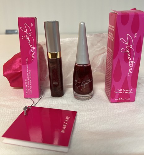 MARY KAY Signature Brown Chocolate Spice Lip Gloss .28 oz. And Nail ...