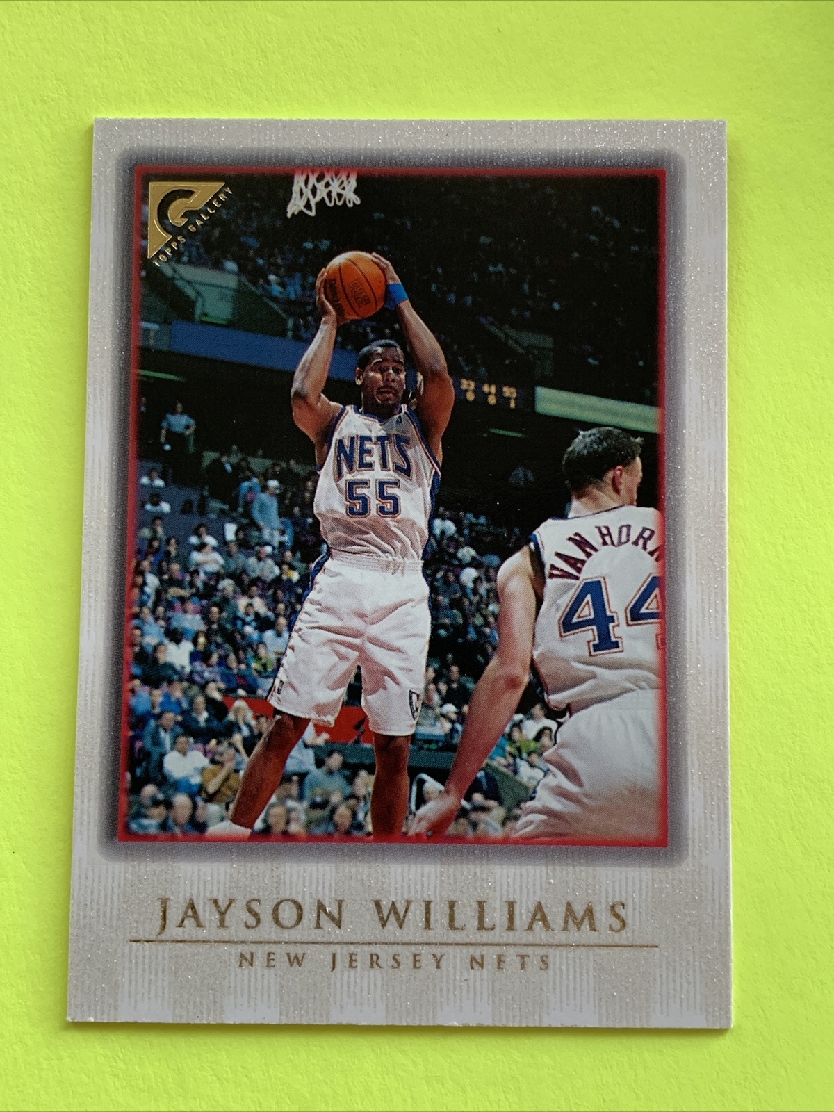 1999-00 Topps Gallery Jayson Williams #47 New Jersey Nets | eBay