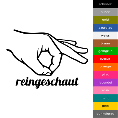 Autoaufkleber REINGESCHAUT reingeguckt verarscht dumm dämlich Hand ...
