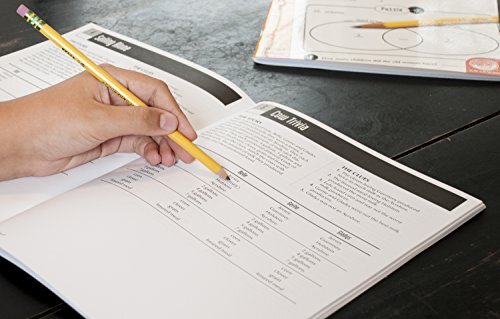 MindWare Perplexors Level C Grades 6-7 Logic Critical Thinking Puzzles ...