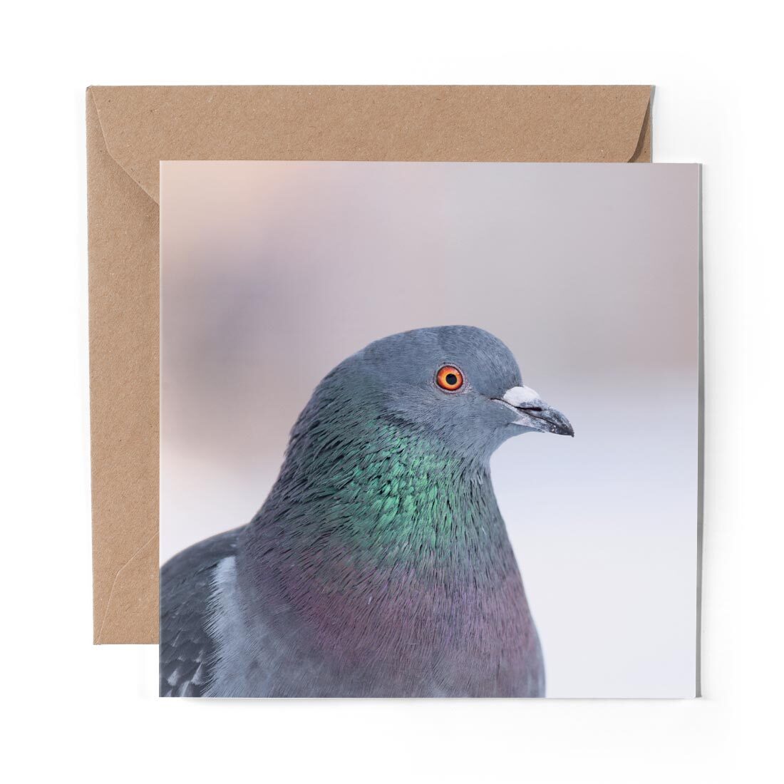 1 x Blank Greeting Card Happy Pigeon Portrait Common Wood #51135 | eBay UK