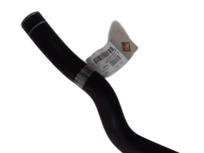Navistar International Truck 4064597C1 HOSE | eBay