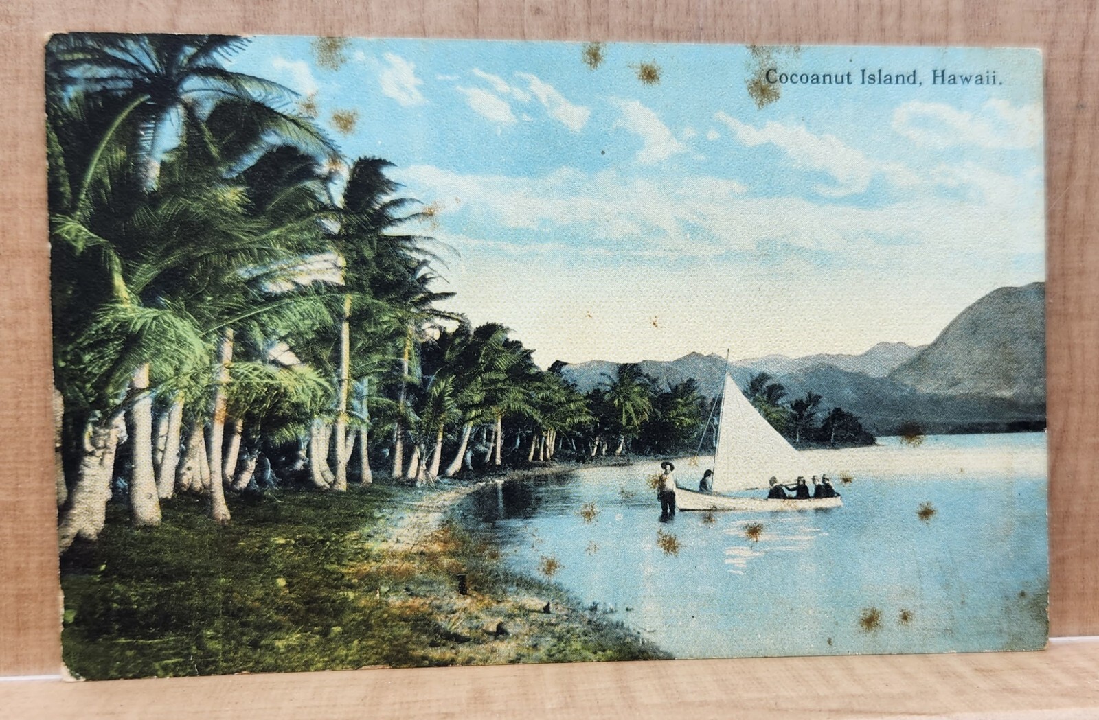 Cocoanut Island Postcard Unposted Coconut Trees Hilo Hawaii Sailboat ...
