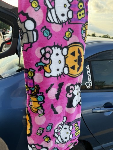 Hello Kitty Hot Pink Halloween Pumpkins, Candy, Bats Silk Plush Throw ...