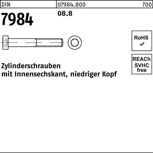 Reyher Zylinderschraube DIN 7984 m.Innensechskant M 3 x 5 8.8 | eBay