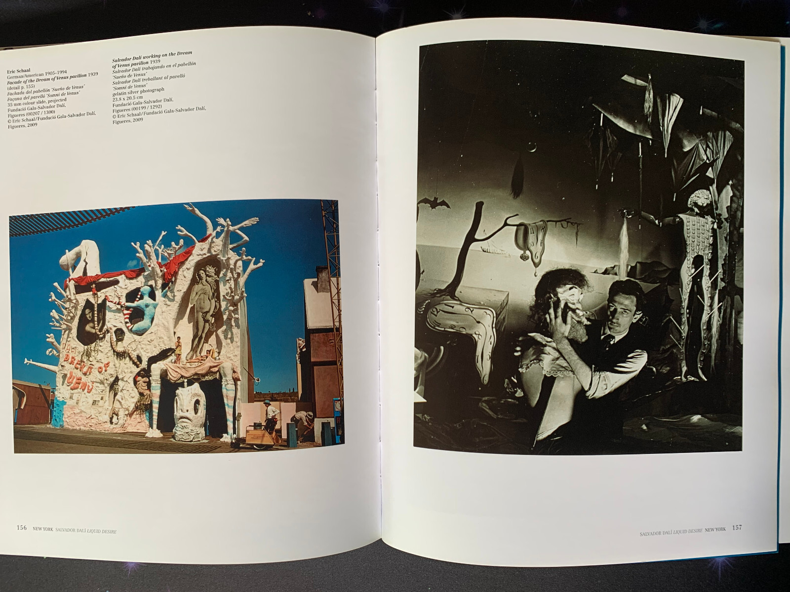 Salvador Dali - Liquid Desire Book Large Soft Card Cover 327 Pages VGC ...