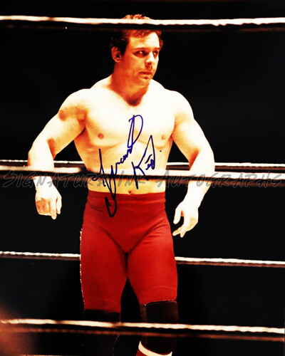 Dynamite Kid Signed Vintage Candid Color 8x10 Photo WWE WWF British ...