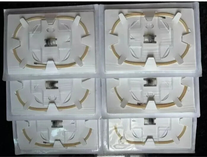 Endoscopic variceal ligation(EVL) Multi Band Ligator ( 6 shooter) Pack ...