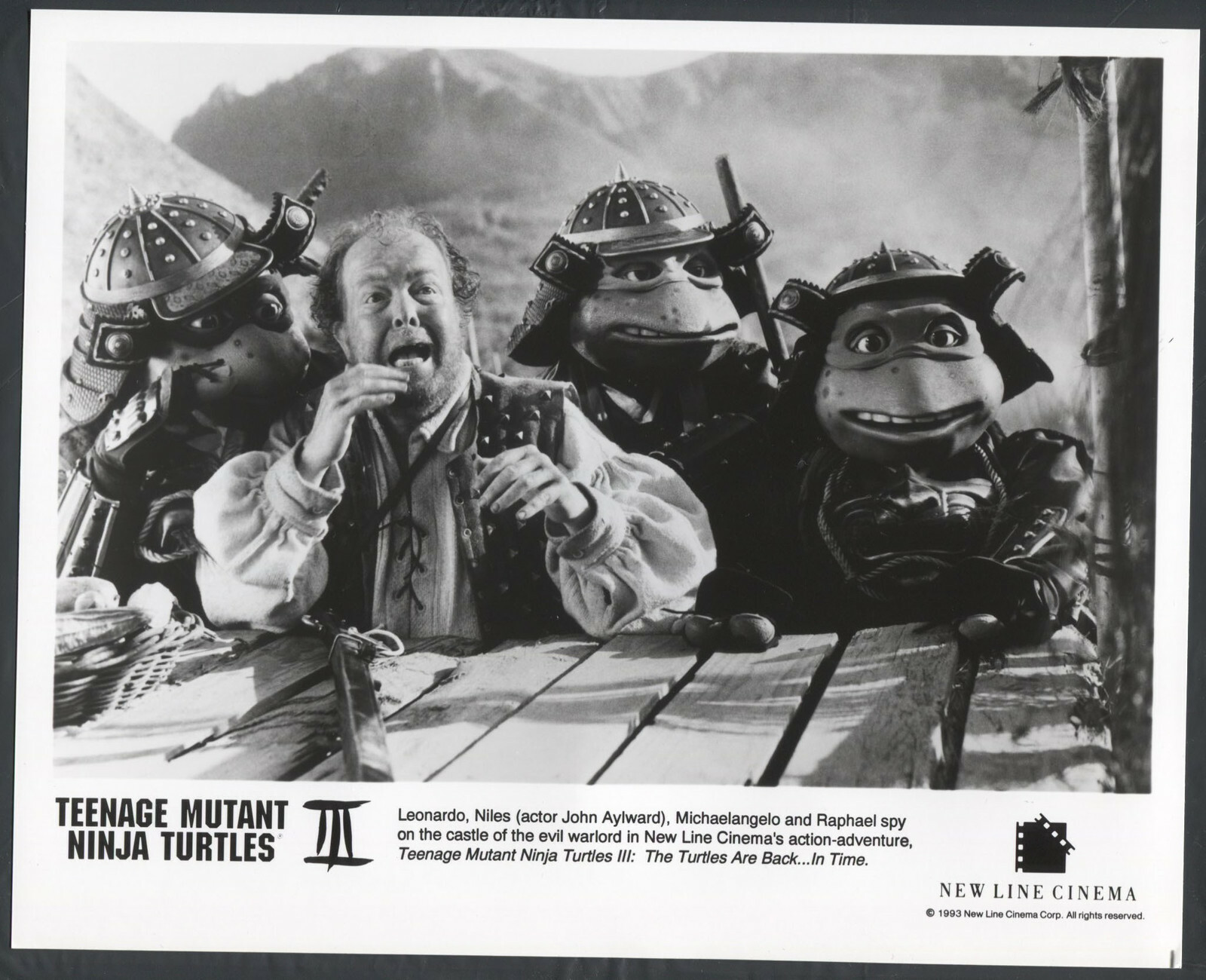 Teenage Mutant Ninja Turtles III ’93 JOHN AYLWARD LEONARDO RAPHAEL | eBay