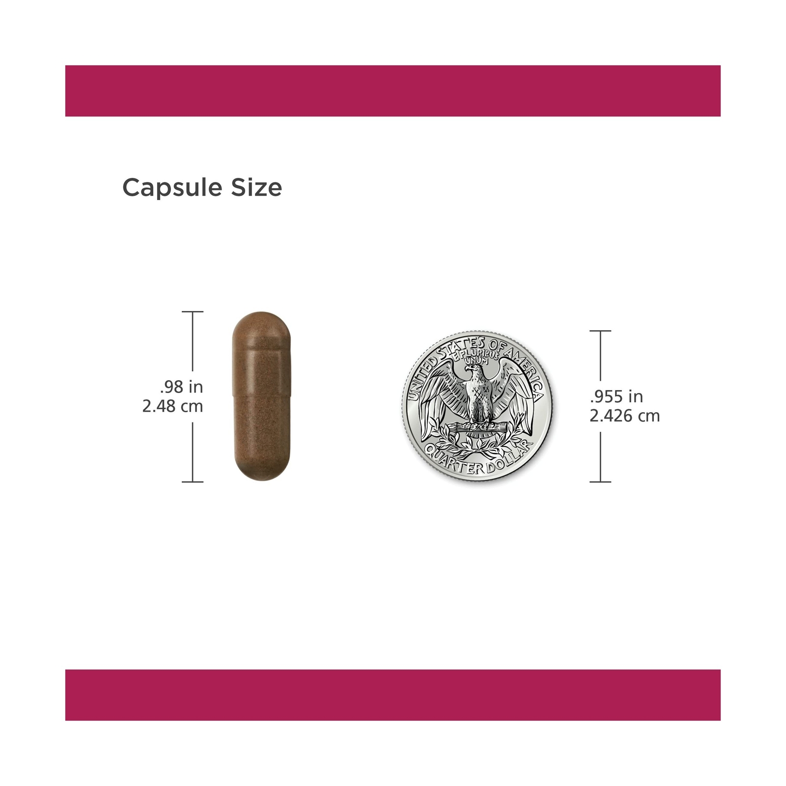 TheraCran One Cranberry Supplement | 36mg PACs Per Capsule | 90 Day ...