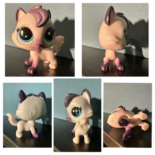 Littlest Pet Shop LPS 66 Burma Bluepoint Lavender Gray Siamese Kitty ...