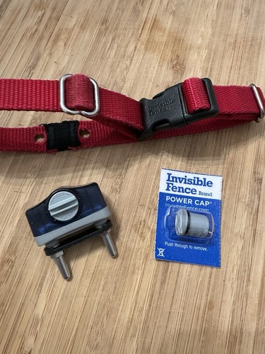 Invisible Fence Microlite Receiver RIG00-11933 (10k) | eBay