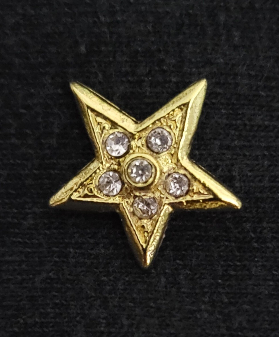 Officers pin OES Associate Patron gold post back | eBay