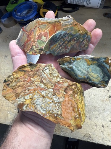 3 Killer Morrisonite Picture Jasper End Cuts Oregon Orbicular Jasper | eBay