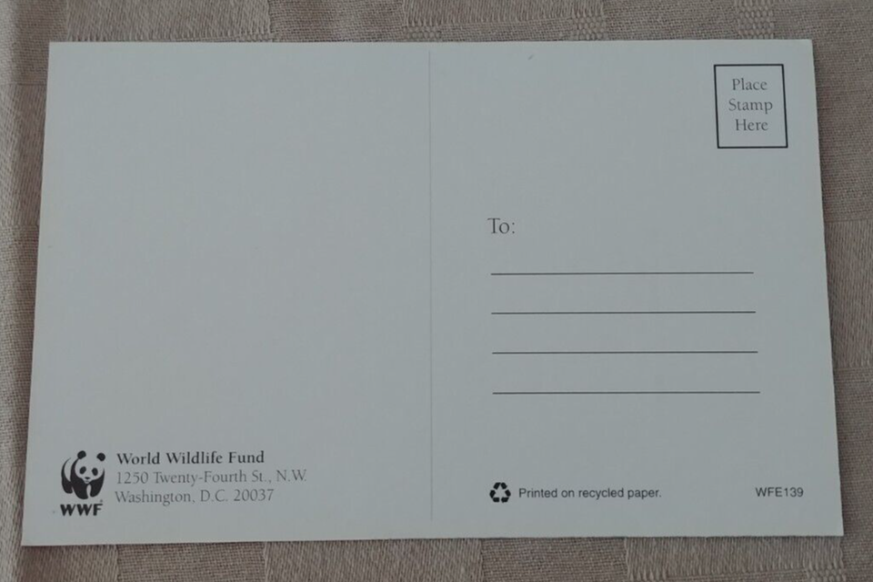 Vintage World Wildlife Fund (WWF) Panda Postcard | eBay