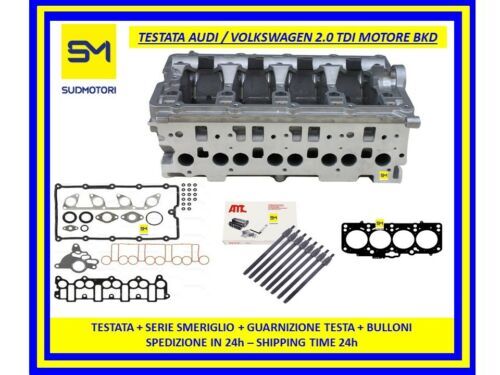 Cylinder Head with Valves Audi Volkswagen 2.0 TDI 16V BKD + Gaskets ...