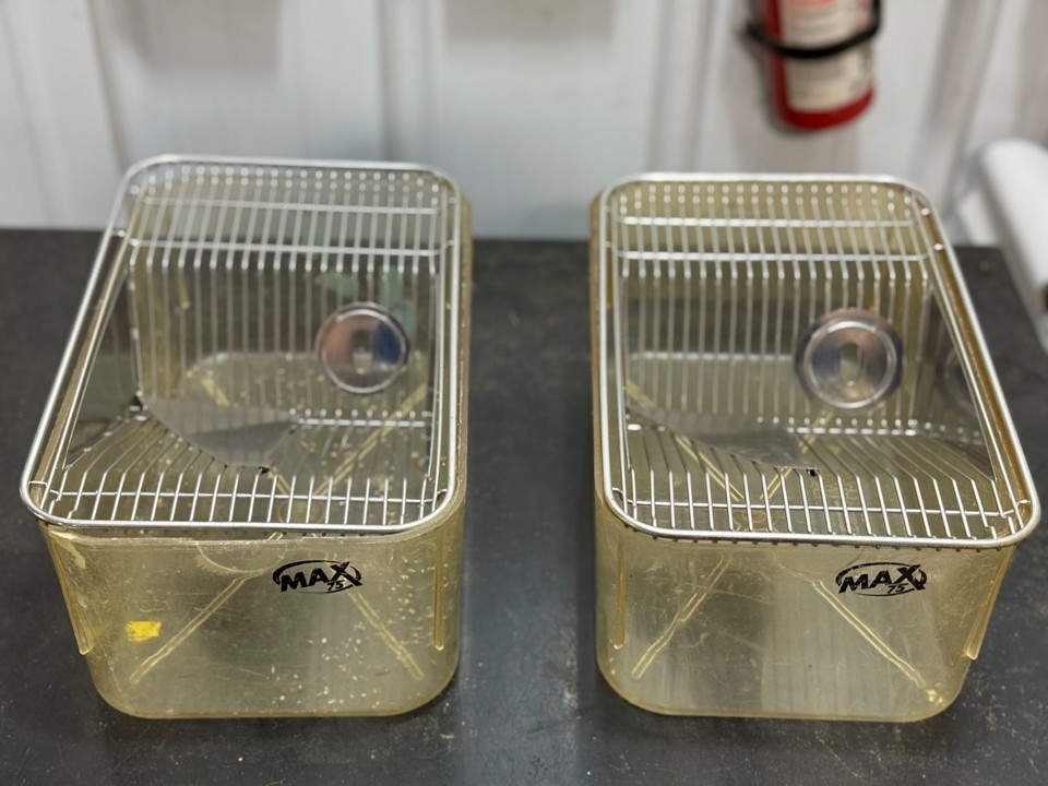 used mouse breeding cages with stainless top. I have over 80 available ...