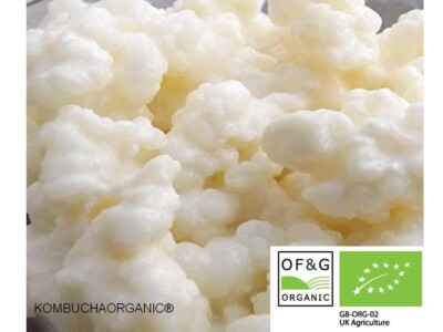 10g Certified Organic by OF&G Live Milk Kefir Grains Made in UK Lab ...