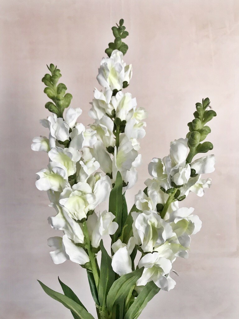 White Snapdragon Bouquet