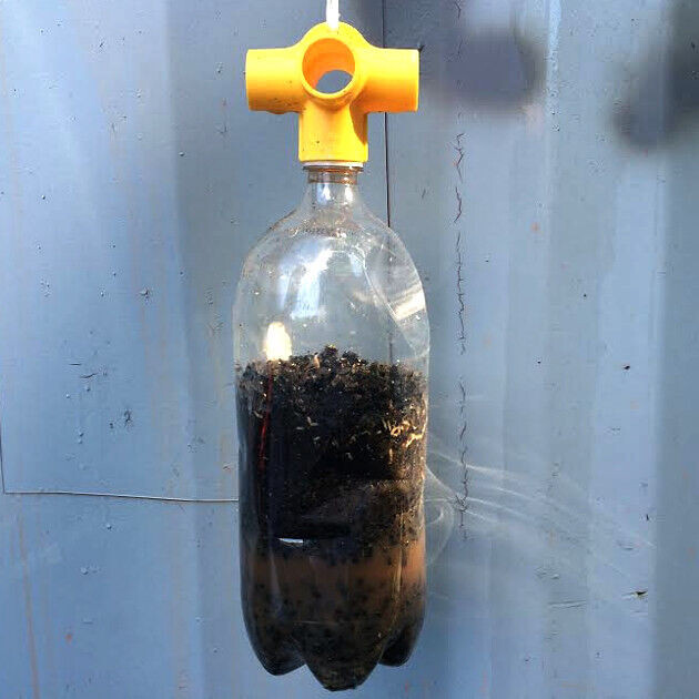 Flies Be Gone THE MONSTER Reusable Non-Toxic Soda Bottle Fly Trap Kit ...