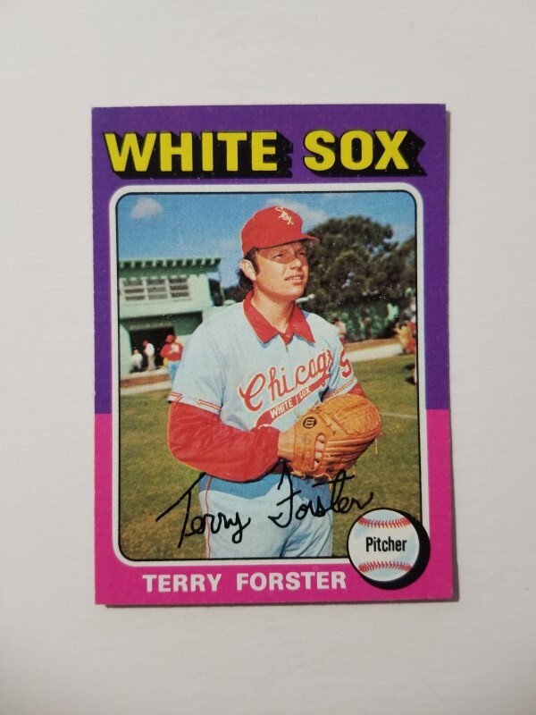 TERRY FORSTER 1975 TOPPS BASEBALL CARD #137 CHICAGO WHITE SOX | eBay