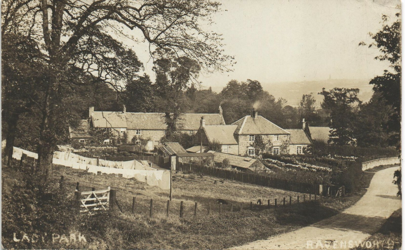 Ravensworth near Swalwell & Gateshead. Lady Park. | eBay UK