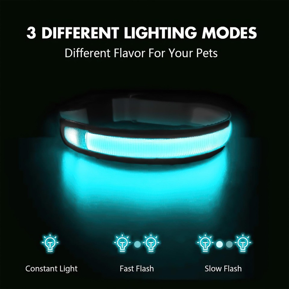 Light Up Dog Collars LED Rechargeable Lighted Water Resistant Night ...