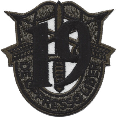 19th Special Forces Group Crest OD Green Black 19 Patch | eBay