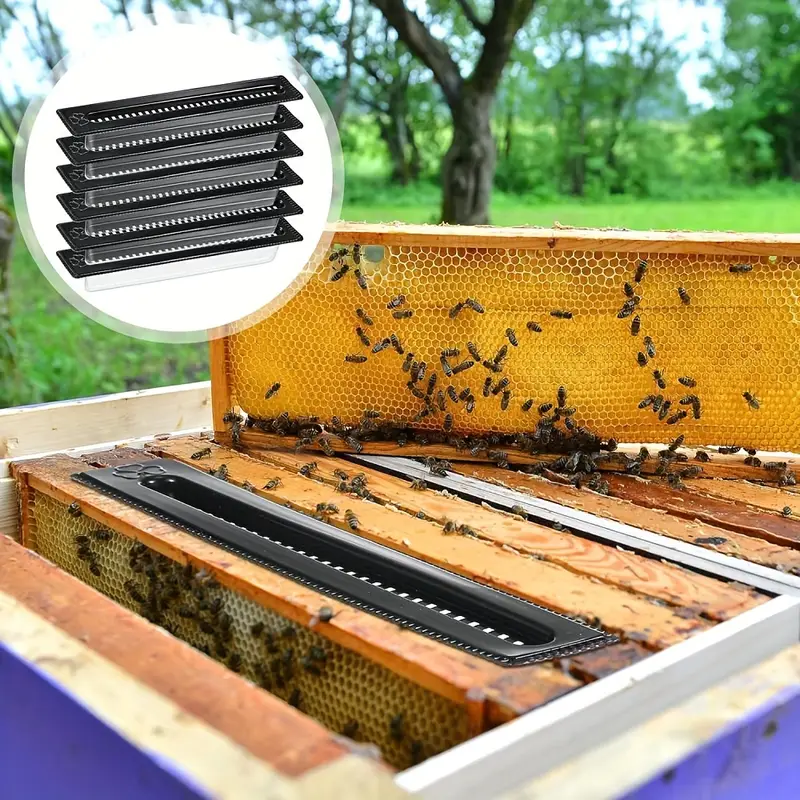 20/40/60×Black BeeHive Beetle Trap Small Bee Hive Beetle Blaster ...