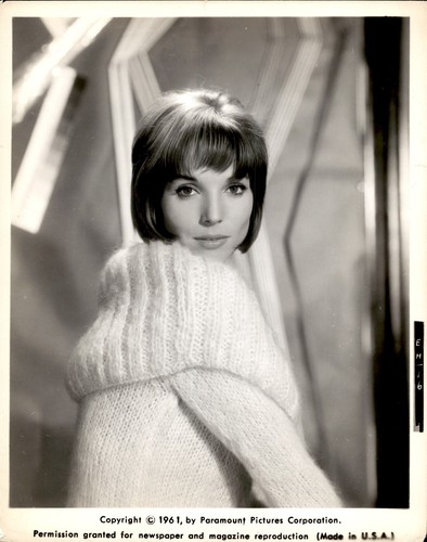 BR4 1961 Rare Original Photo ELSA MARTINELLI Beautiful Elegant Star ...