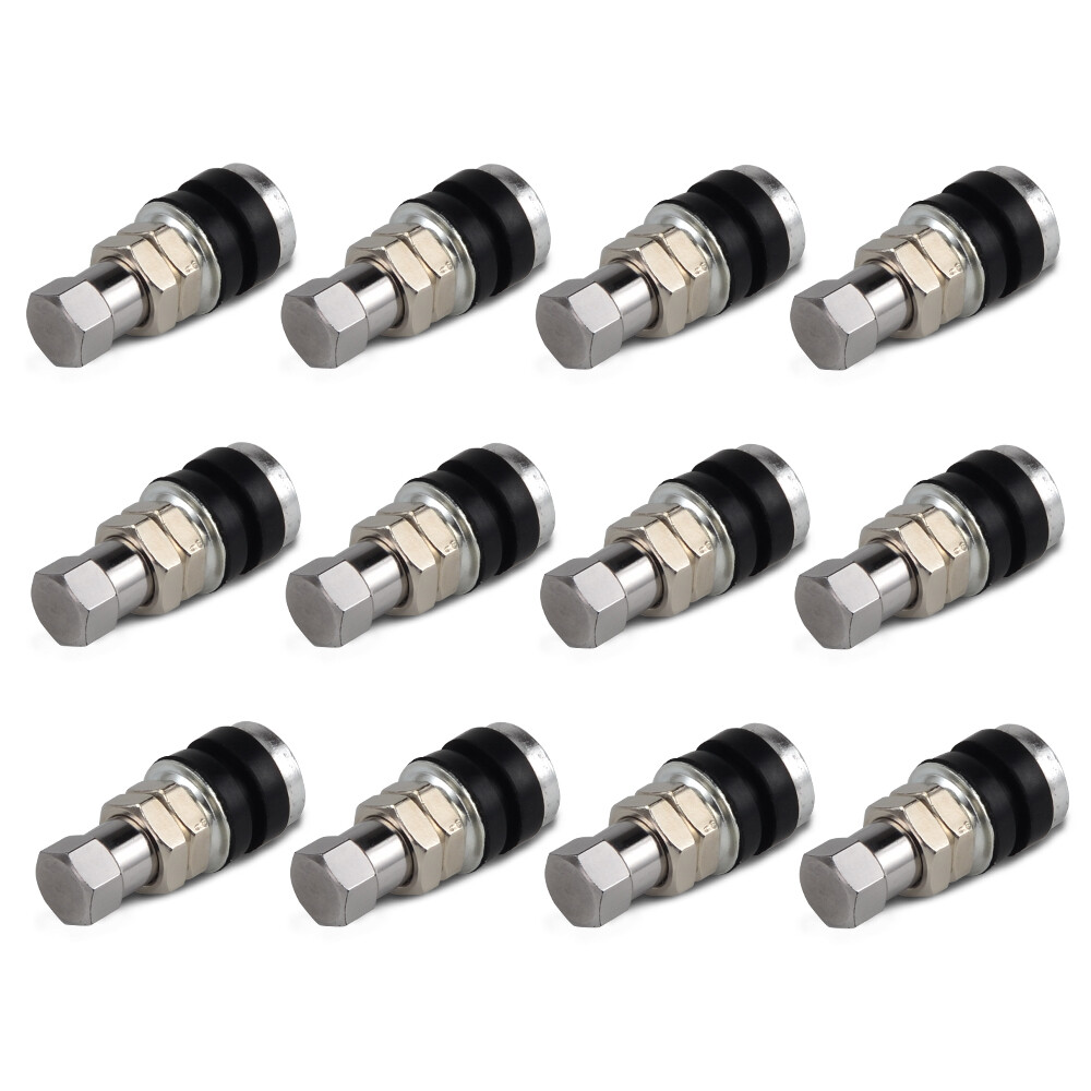 Set of 12 Chrome TR161 Tire Wheel Valve Stems Bolt Srews for ATVs go ...