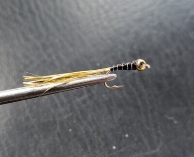 3x MINI STALKING BUG TUNGSTEN BEAD, BLACK BODY, GOLD TAIL TROUT Fly ...