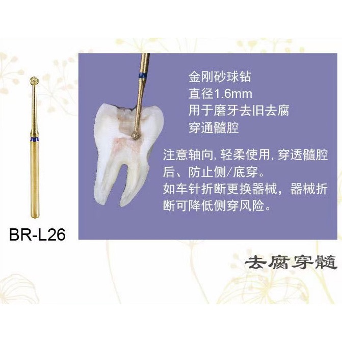 1Set Dental burs preparation Pulpotomy access Open pulp cavity Bur kit ...