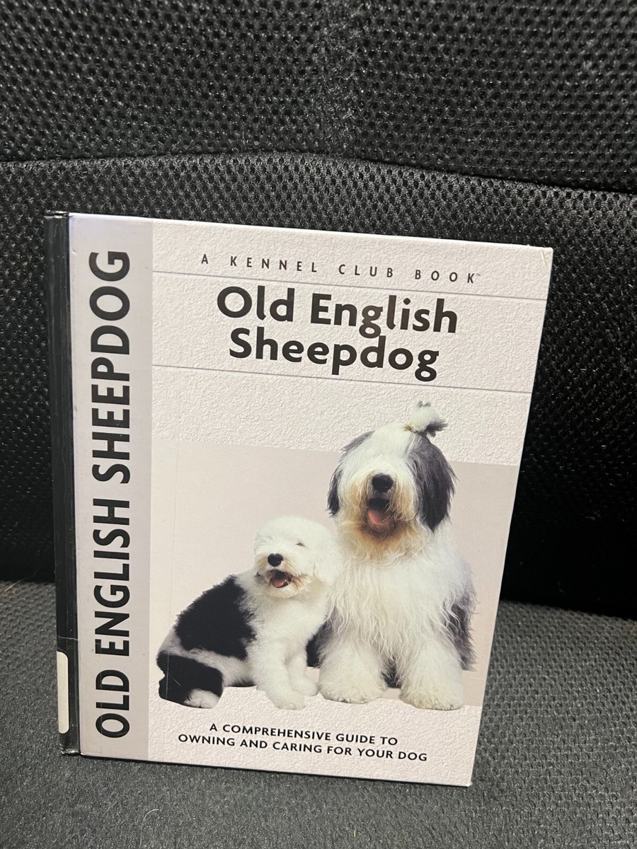 Owning A Old English Sheepdog