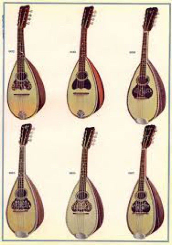 Vintage Antique #603 Bowlback Mandolin c. 1900 With Case | eBay