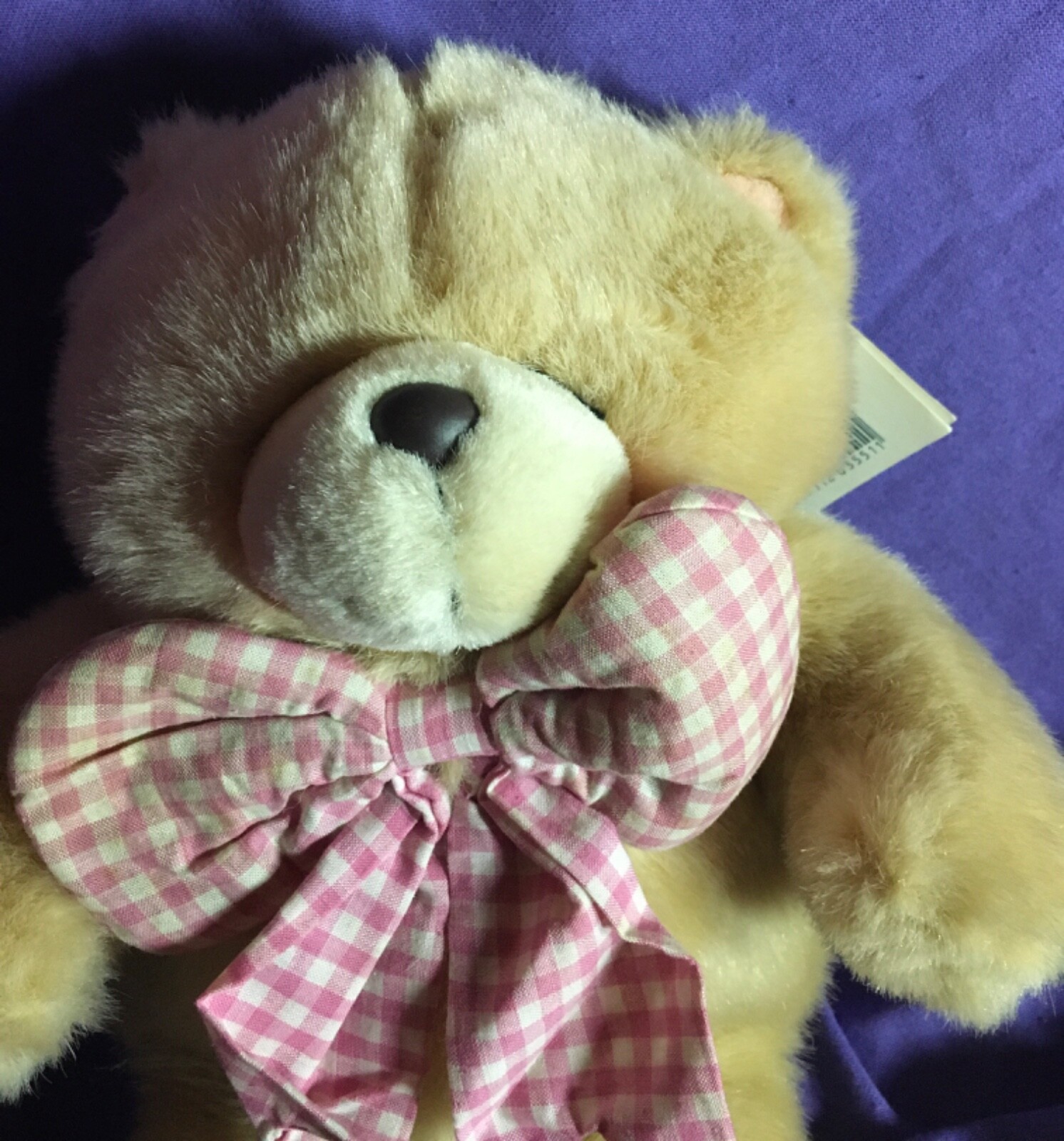 ANDREW BROWNSWORD "FOREVER FRIENDS TEDDY BEAR, WITH TAG (#B79-1) | eBay Australia