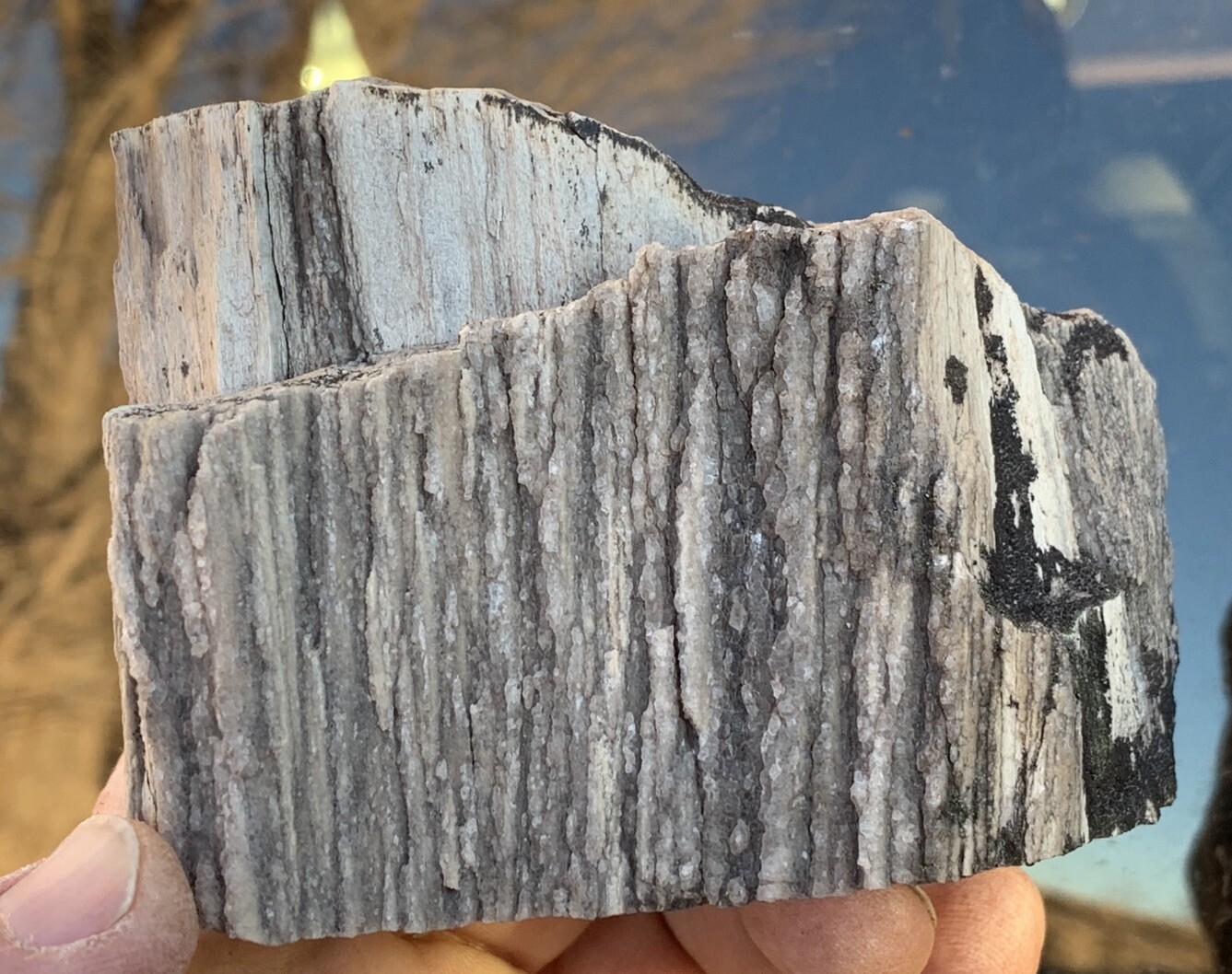 🍀RR⛏️: Arizona Petrified Wood W/druzy Smoky Quartz, Burn Marks🔥1 Lb | eBay